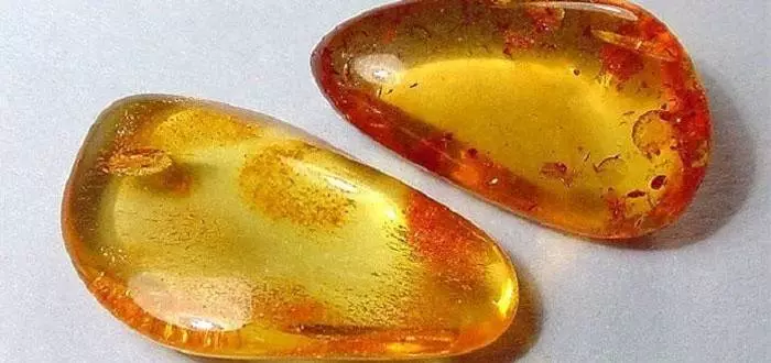 Amber - a source of production of succinic acid