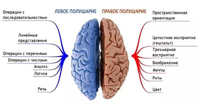 Ƙaddamar da ayyukan ɓangarorin biyu na kwakwalwa