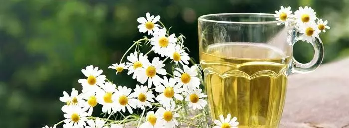 Decoction ntawm chamomile