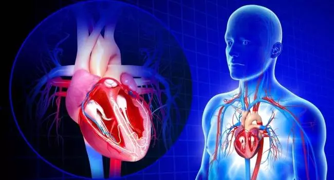 Conceptos erróneos comunes sobre las enfermedades cardíacas