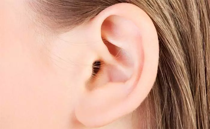 Healthy ear in a child
