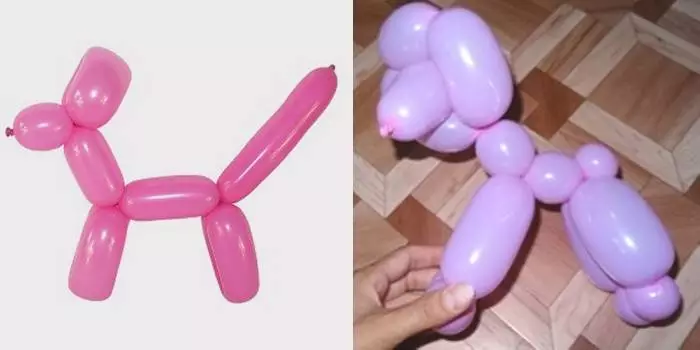 How to make a dog from a ball: a step-by-step scheme for twisting sausages