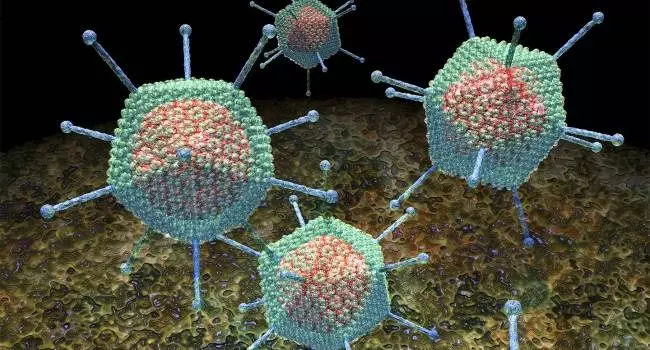 Virus que provocan el desarrollo de la oncología.