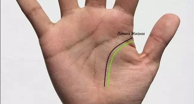 The meaning of the main lines on the hand