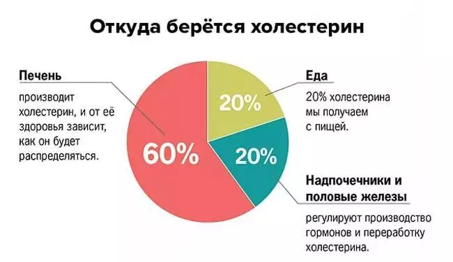 Այն, ինչ դուք պետք է իմանաք խոլեստերինի մասին