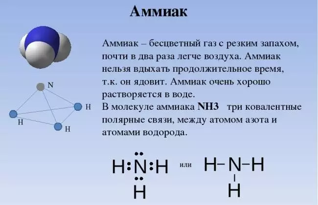 Dab Tsis Zoo Qhia Txog Dab Tsi 10933_2