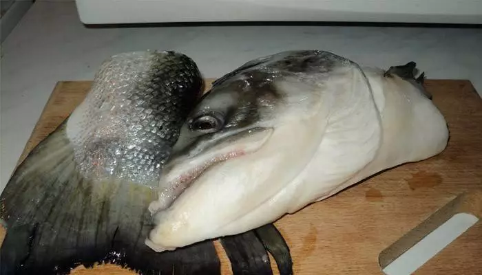 سر و دم ماهی برای سوپ