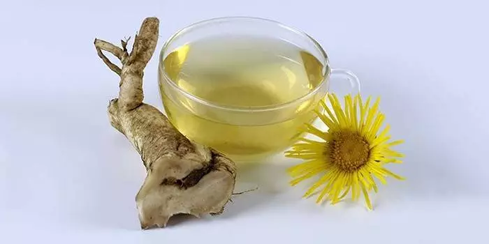 Pewarnaan elecampane untuk ascoridosis