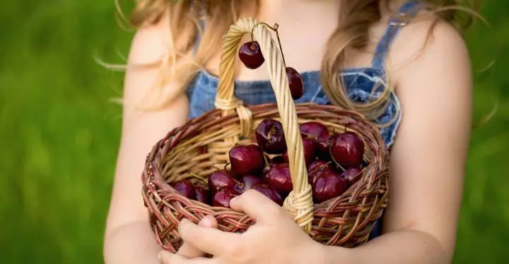 Fille tenant un panier de fruits