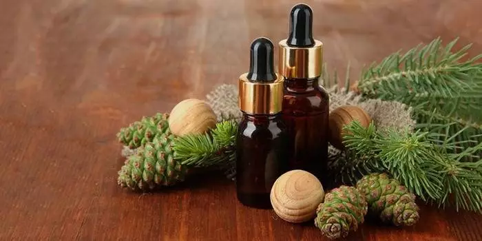 Fir and its extract