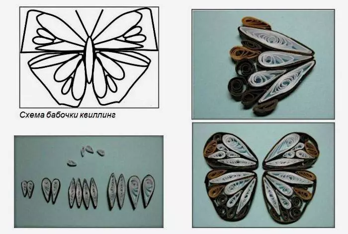 Schema farfalla quilling