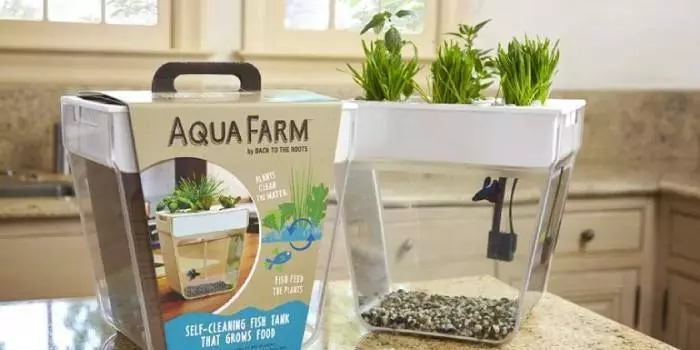 Aqua farm