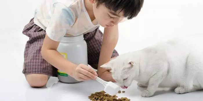 Poika ruokkii kissaa