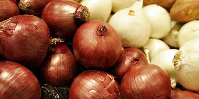 Onion Mabumba