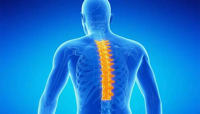 人體脊柱上的疼痛區域