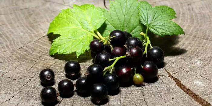 Zer sukaldatu currant beltzarekin