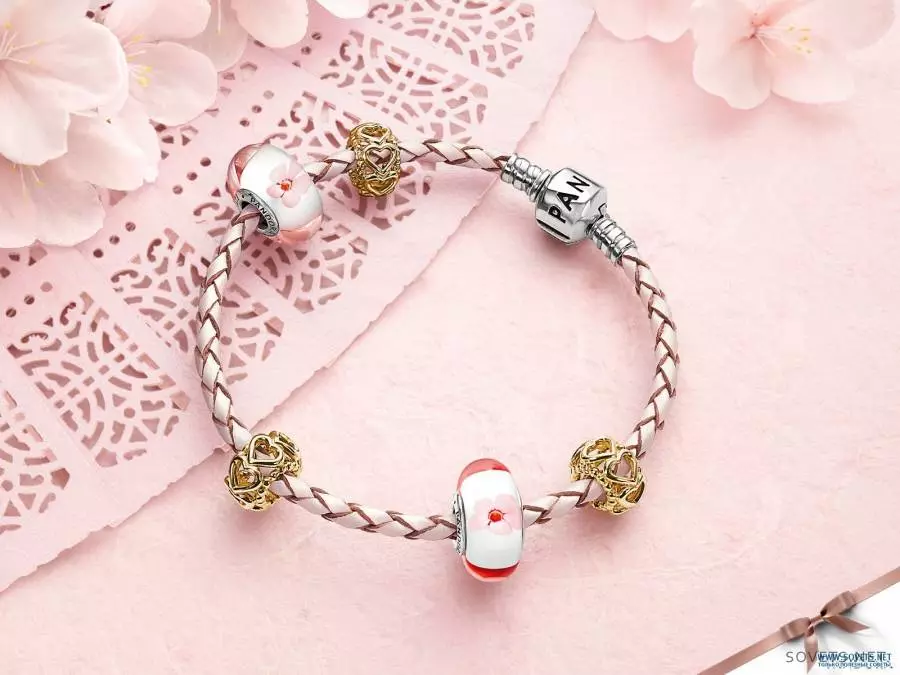 bracelet charms charms pandora