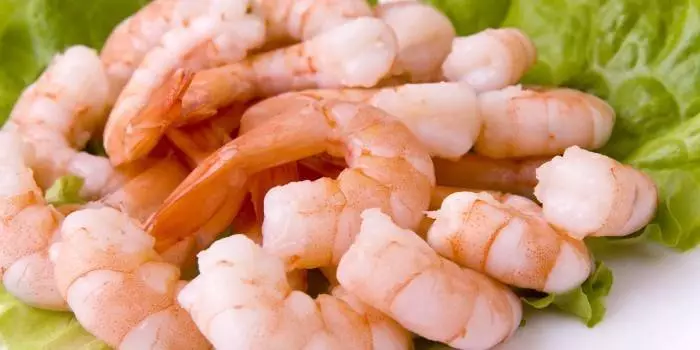 Argentina shrimp