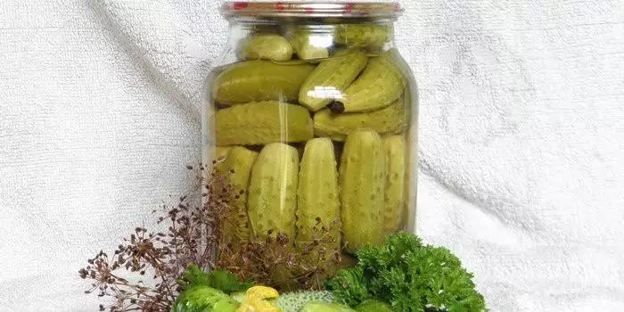 Qajaarka Pickled jiilaalka