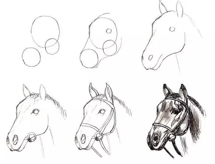 Kako nacrtati konja u fazama olovkom za početnike, fotografija i video
