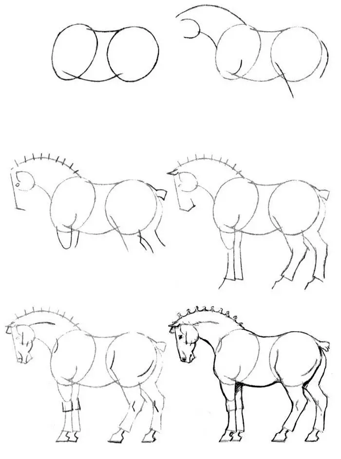 Ձի ՝ հյուսած մանեով