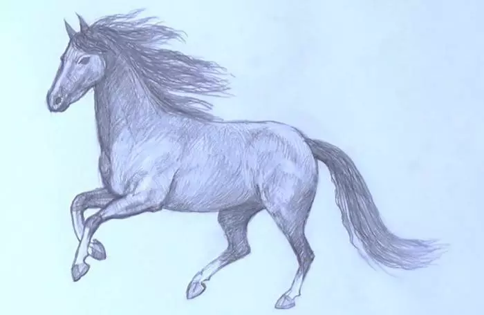 Трчање коњ