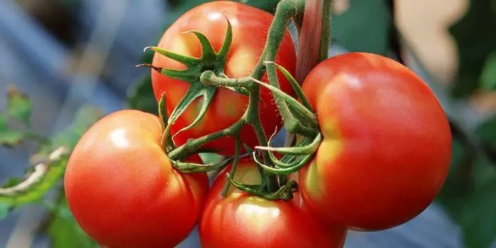 Karakteristik nan pran swen tomat