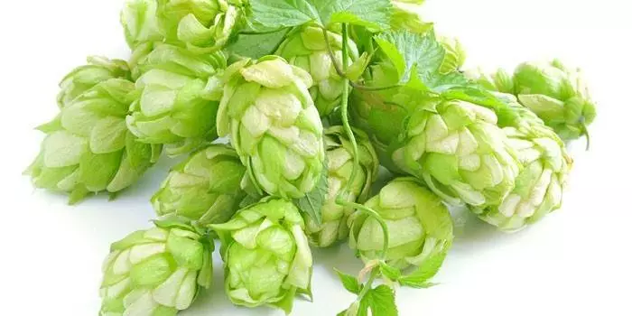 Hop cones