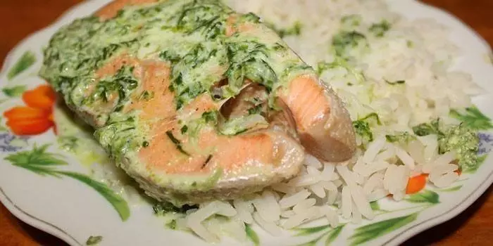 Salmão Coho em molho cremoso com arroz como guarnição