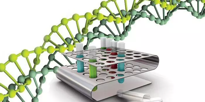 DNA -struktuer en testbuizen