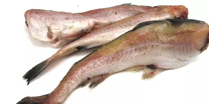 Ikan Pollock