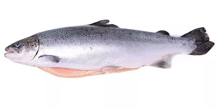 સmonલ્મોન માછલી