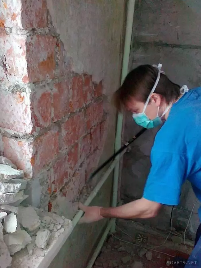 puhastame seinu seenest