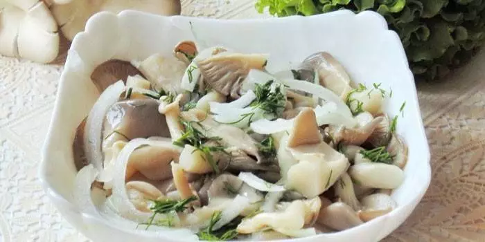 鹽漬牡蠣蘑菇配洋蔥和香草