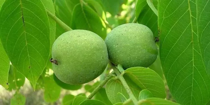 Rohelise koorega kreeka pähklid puidul