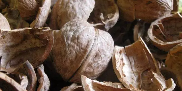 Pähkinän kuori