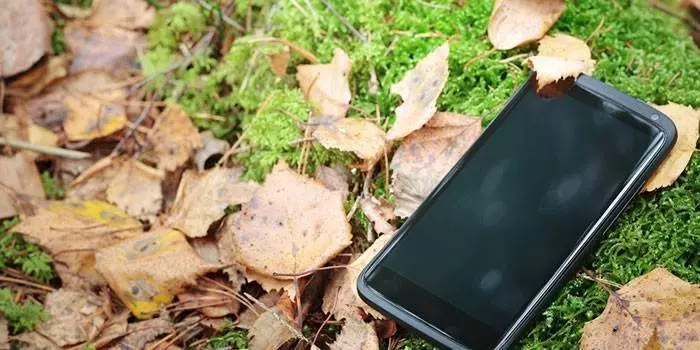 Smartphone sur la herbo