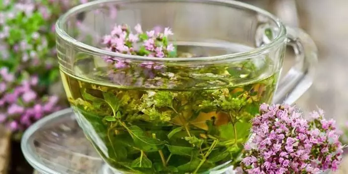 چای گیاهی با مریم گلی در یک فنجان