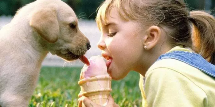 मुलगी आणि कुत्रा एकत्र आईस्क्रीम खातो