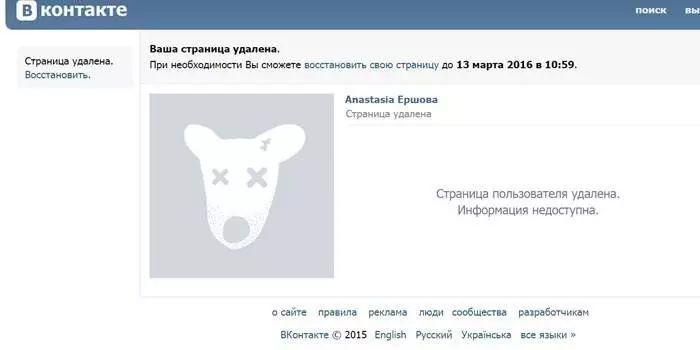 Vkontakteアプリケーションウィンドウ