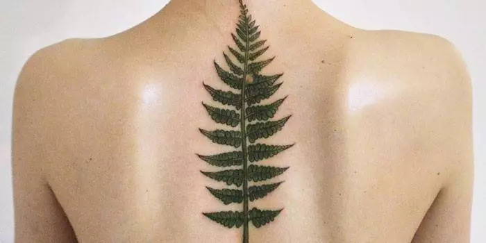 Fern tattoo