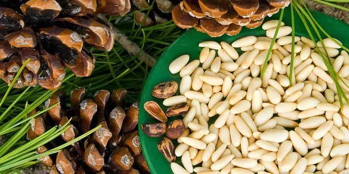 I-peeled pein nuts kwipleyiti kunye neecones