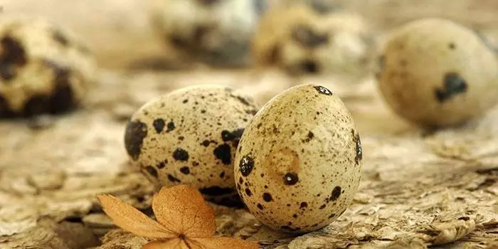 लहान पक्षी अंडी
