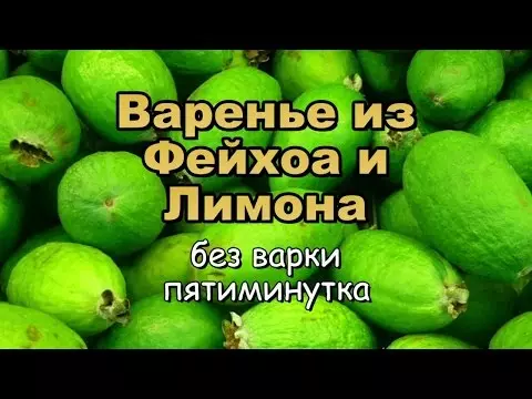 гарчиг