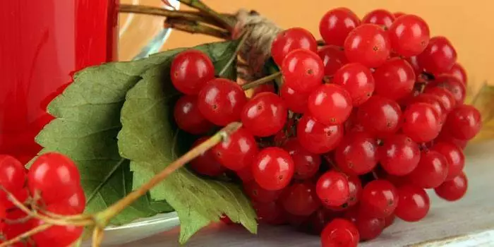 Viburnum berries