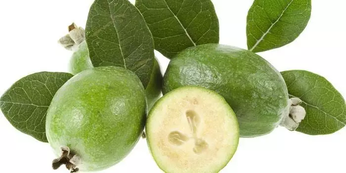 Feijoa michero