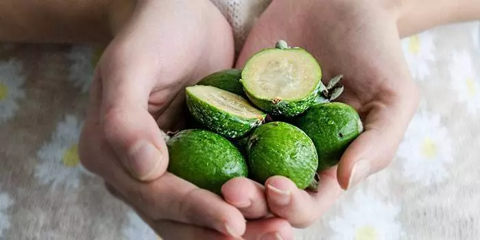 Feijoa- ն պտուղ է ափի մեջ