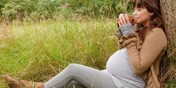 Muller embarazada beber té na natureza