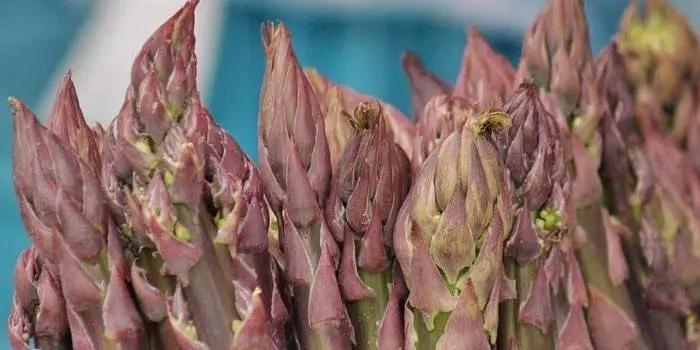I-asparagus eluhlaza okwesibhakabhaka ihluma