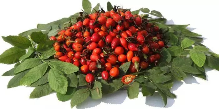 Litholoana le makala a Rosehip